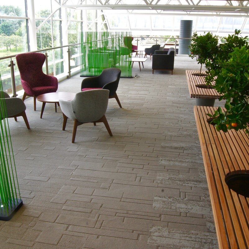 Projects | 2000 Lakeside